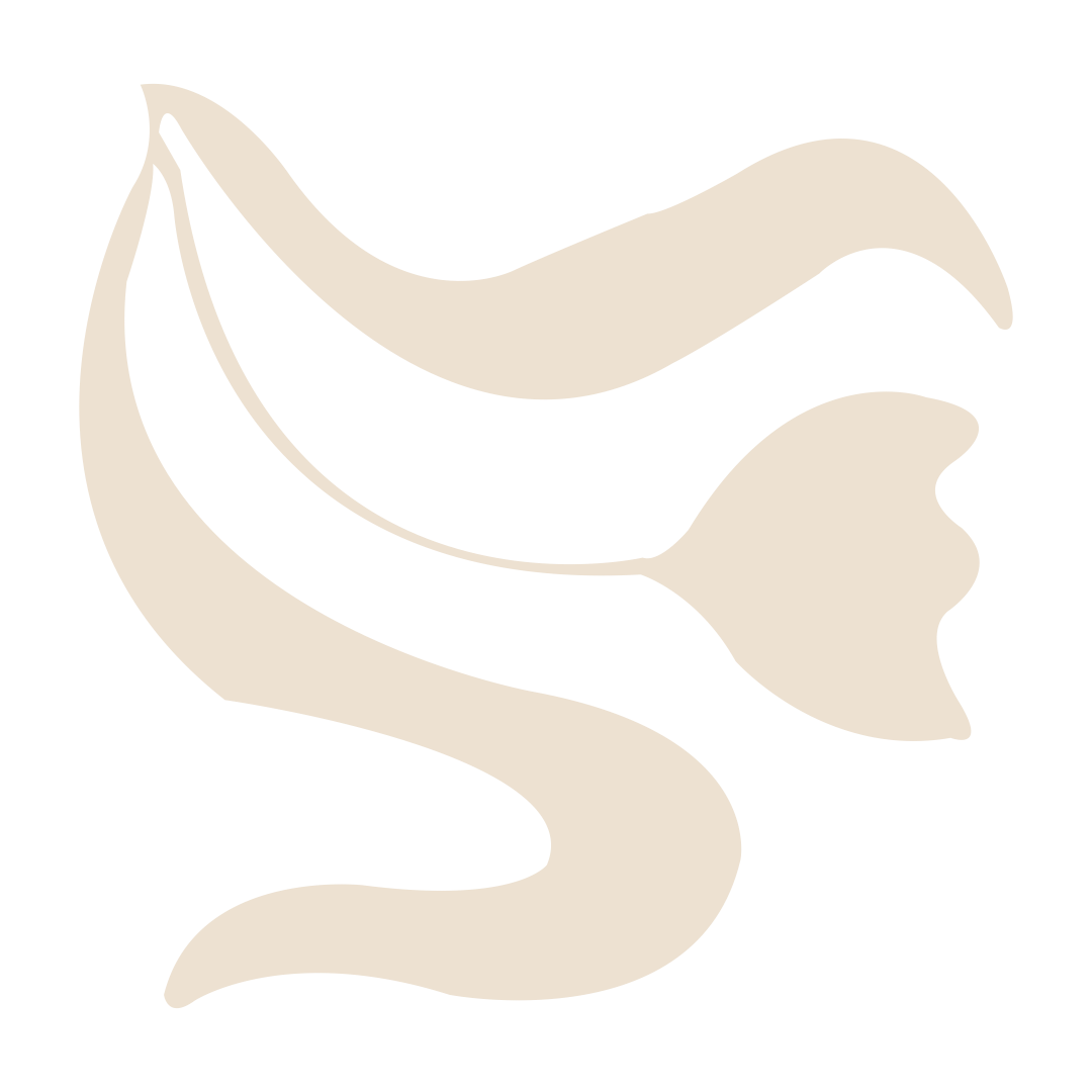 Who We Are – Bold Designs